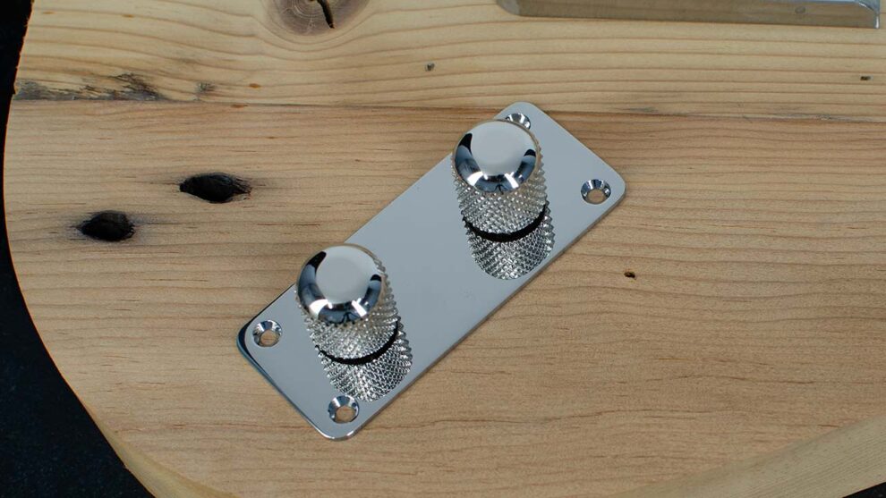 Snakehead Control Plate - RockRabbit Guitars
